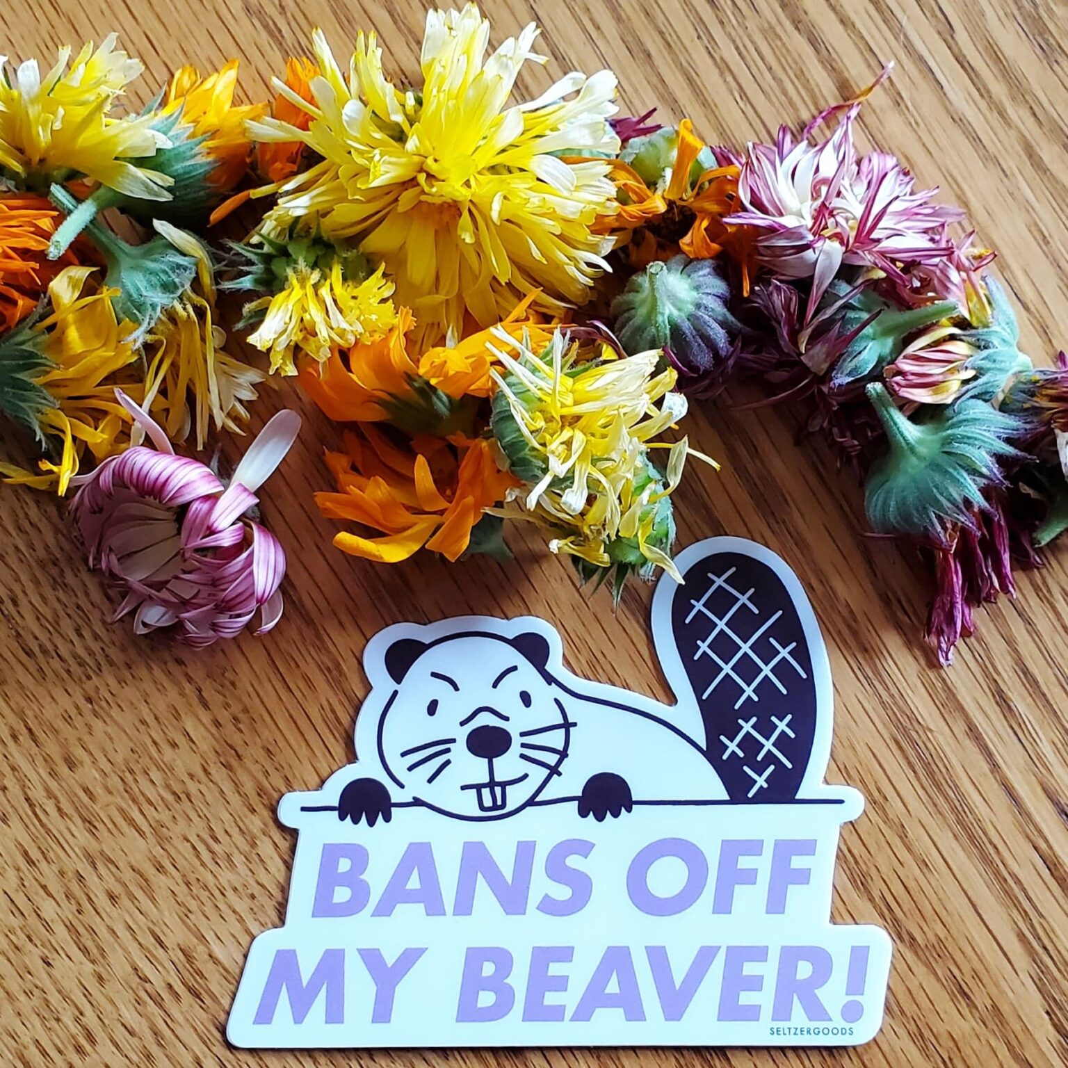 Full Beaver Moon Giveaway - Coming Up Rainbows